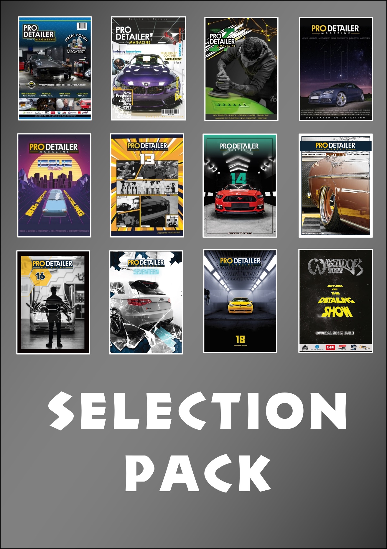 PRO Detailer Selection Pack - 2024 Edition - 2023 Update